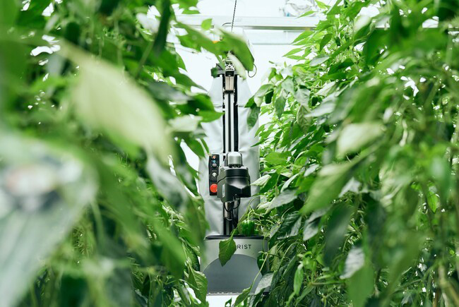Next-generation agricultural package that includes an automatic green ...