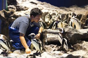 Up to 110 minutes/day reduction in rearing work Panasonic Information ...