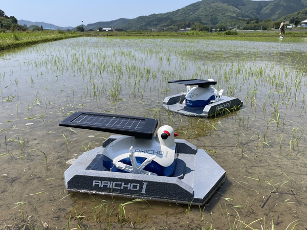 Growing rice with robots tmsuk｜電経新聞